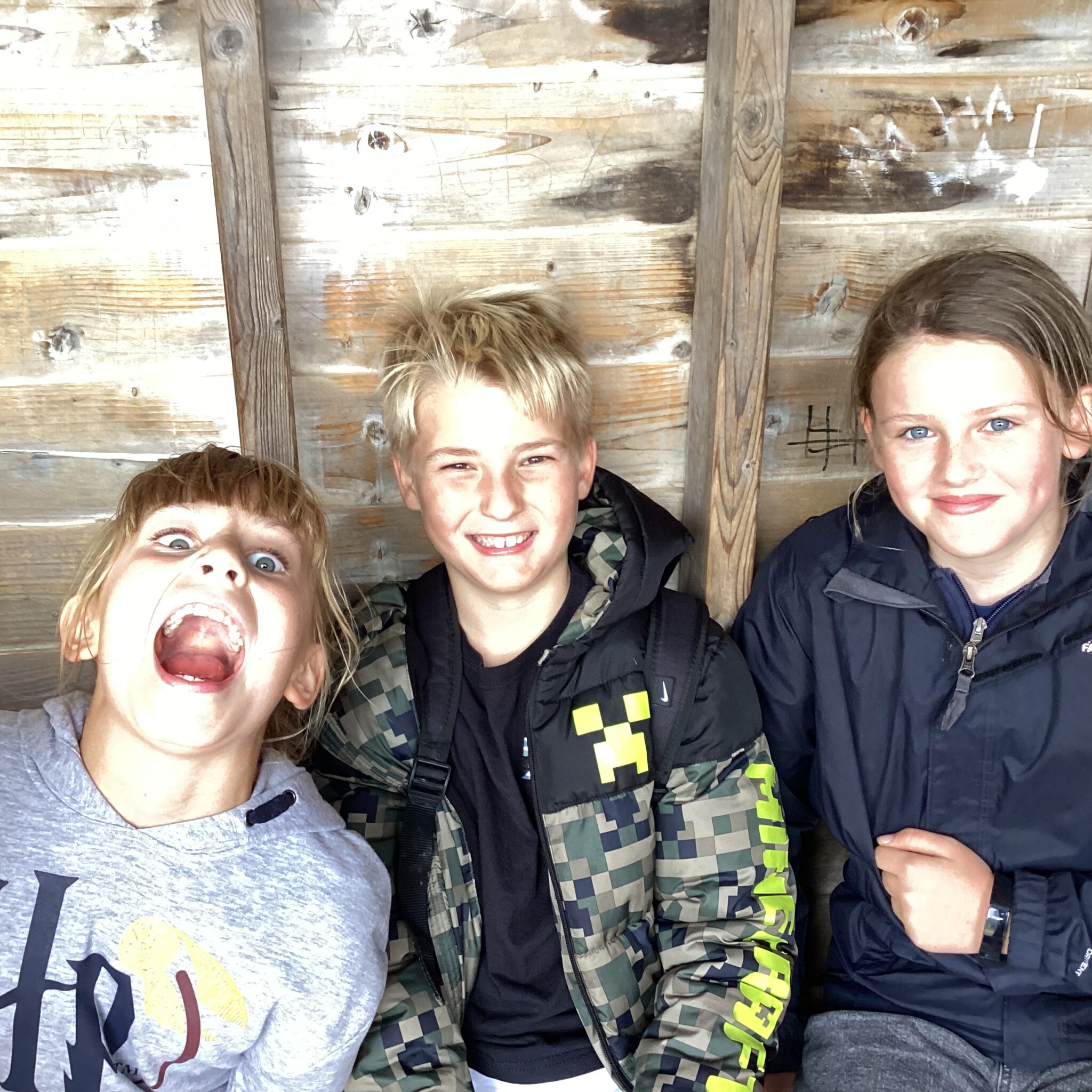 Group 1 Photos from Tuesday 19th September – Framfield C of E Primary ...